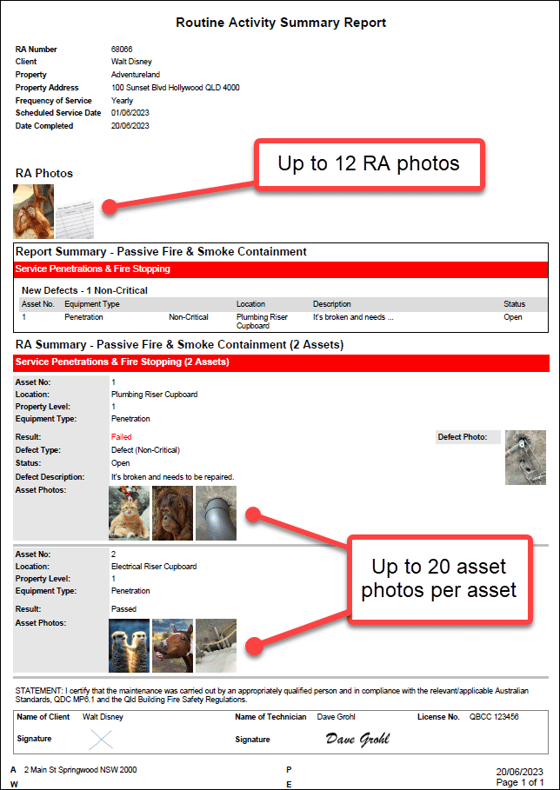2023.1.0 - Release - RA & Asset Photos on RA Summary Report