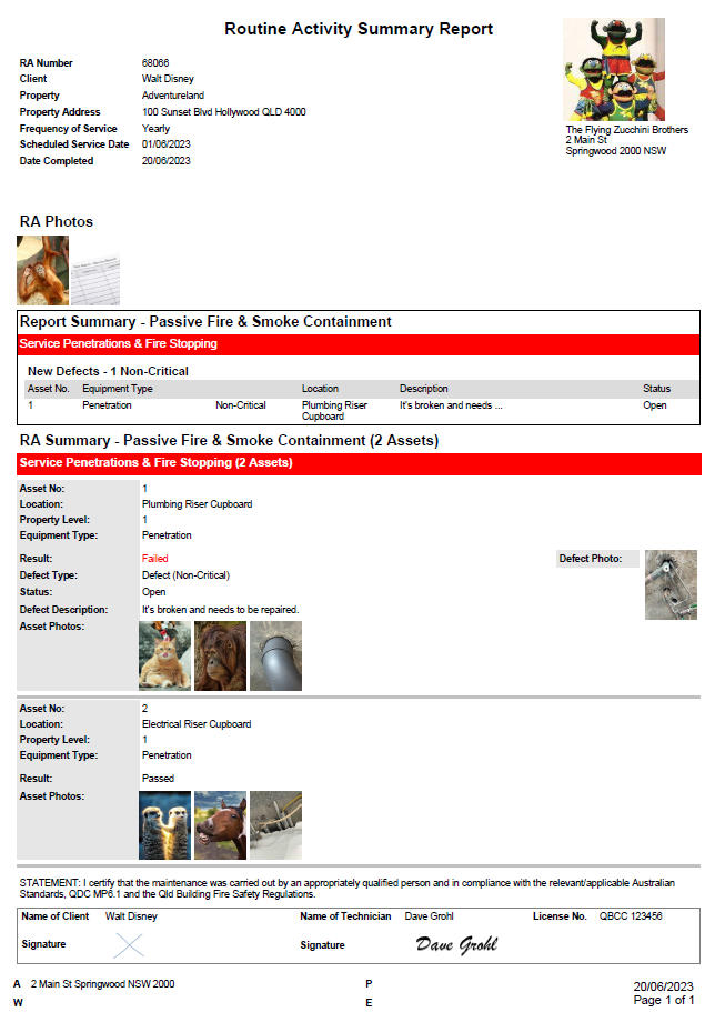 Choosing a Routine Activity Summary Report version